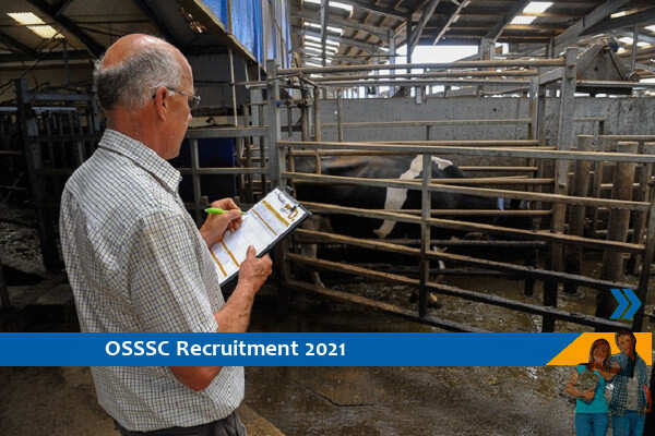 OSSSC Recruitment for Livestock Inspector Posts