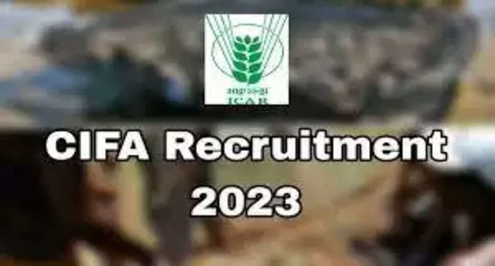CIFA Recruitment 2023 - Apply Offline for Young Professional Jobs