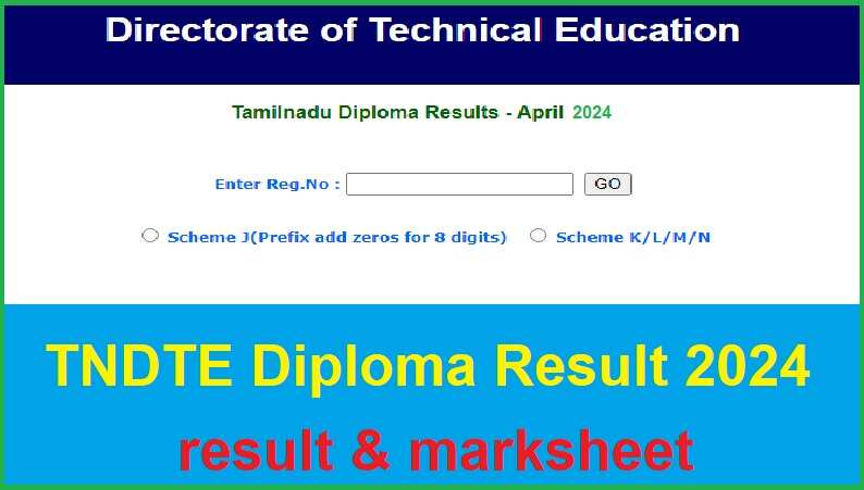 TN DTE Result 2024 Published: Check Your Diploma Marksheet on dte.tn.gov.in